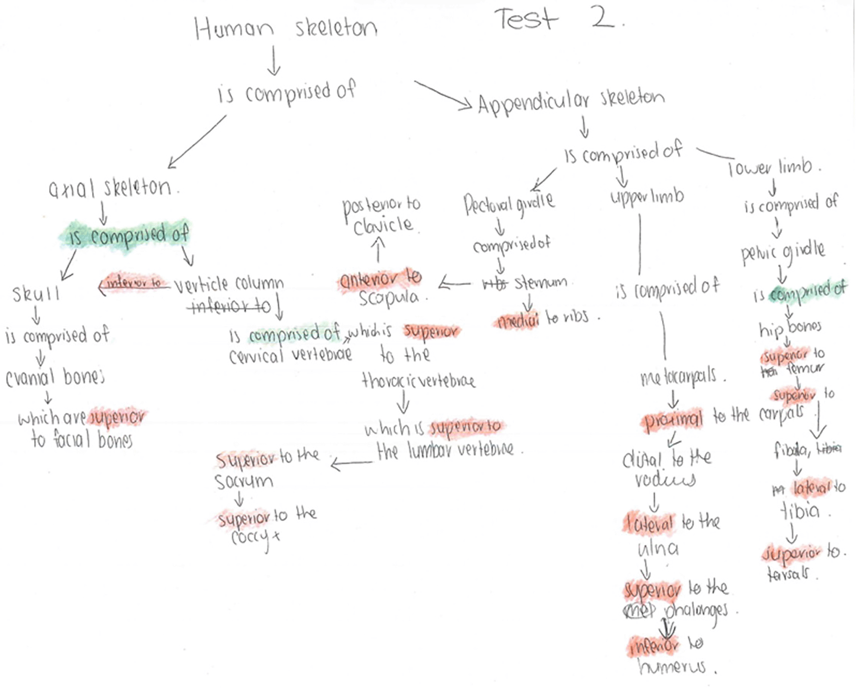 Concept mapping in health sciences education:... | MedEdPublish