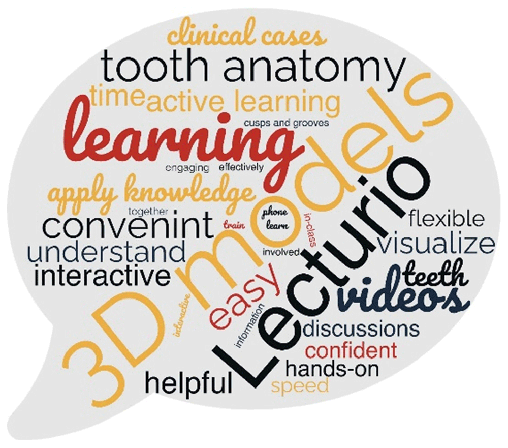 Enhancing Tooth Anatomy Education: Integrating... | MedEdPublish